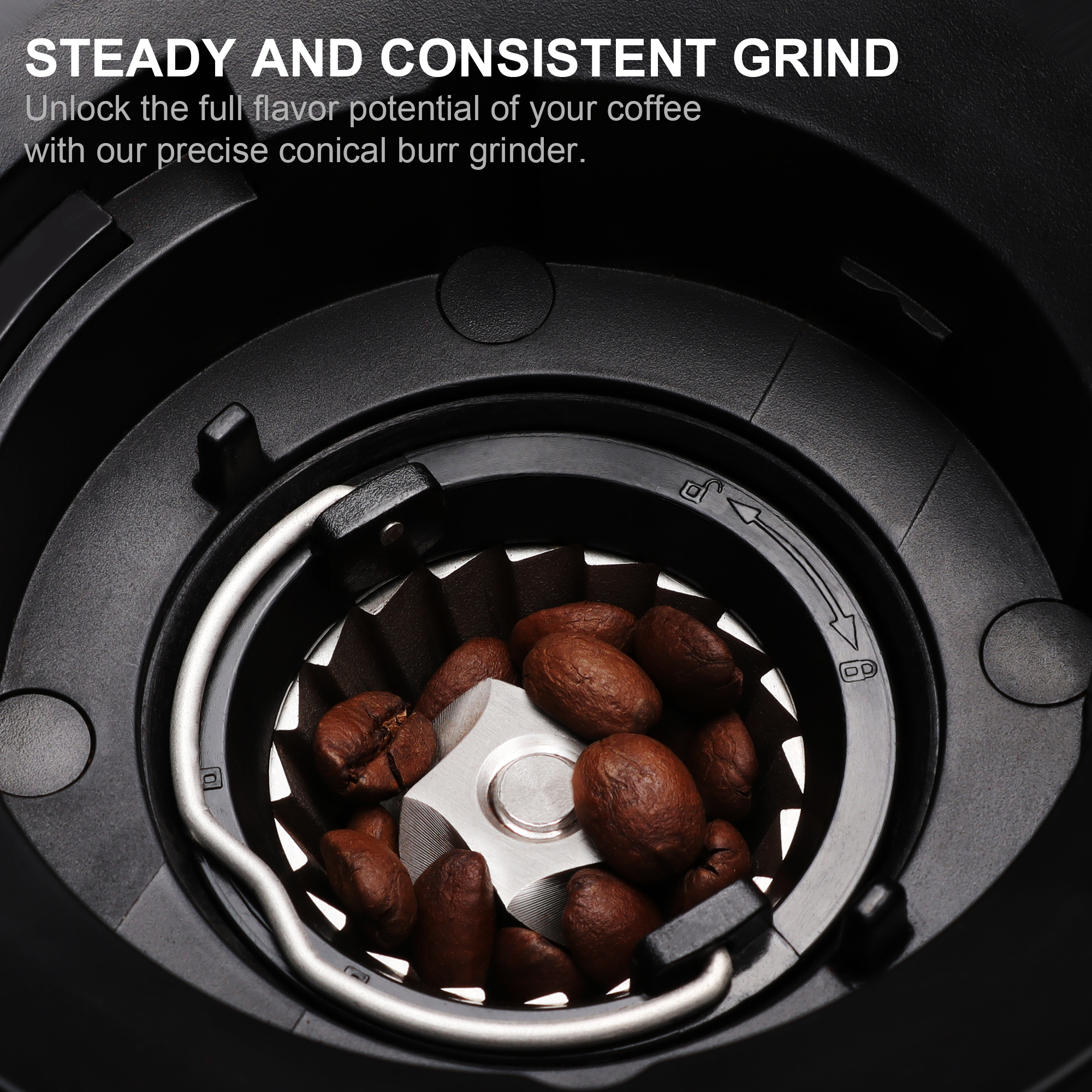 Biolomix Conical Burr Coffee Grinder with Digital Timer Display ...