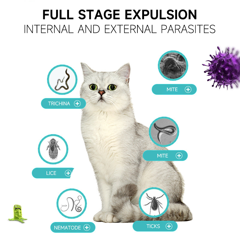 BAMU Pet Tick And Flea Remove Drops (One Box) Anti Flea And Mite For ...