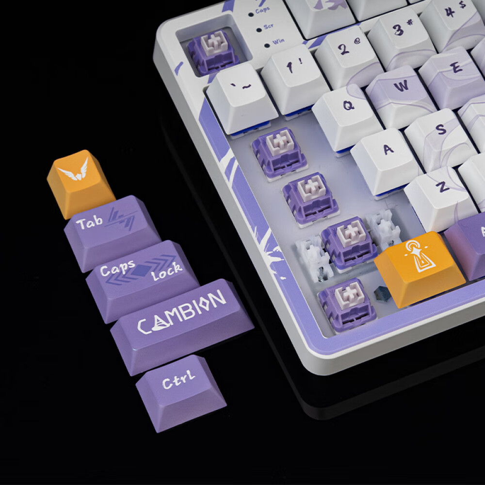 VALKYRIE VK87-Merlin Custom mechanical keyboard three mode 2.4G/ wired ...
