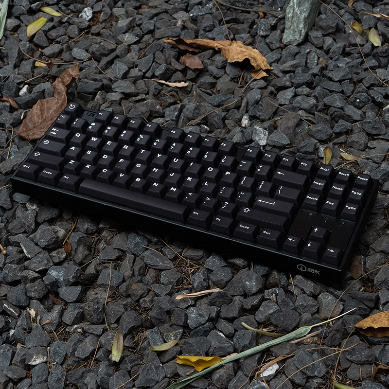 FANS PYGA Translucence Keycaps Double shot Cherry Profile English ...