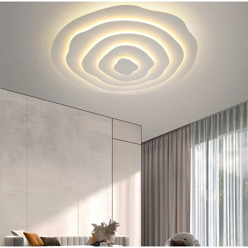 Nordic Ceiling Light Led Modern Living Room Light Minimalist Bedroom ...