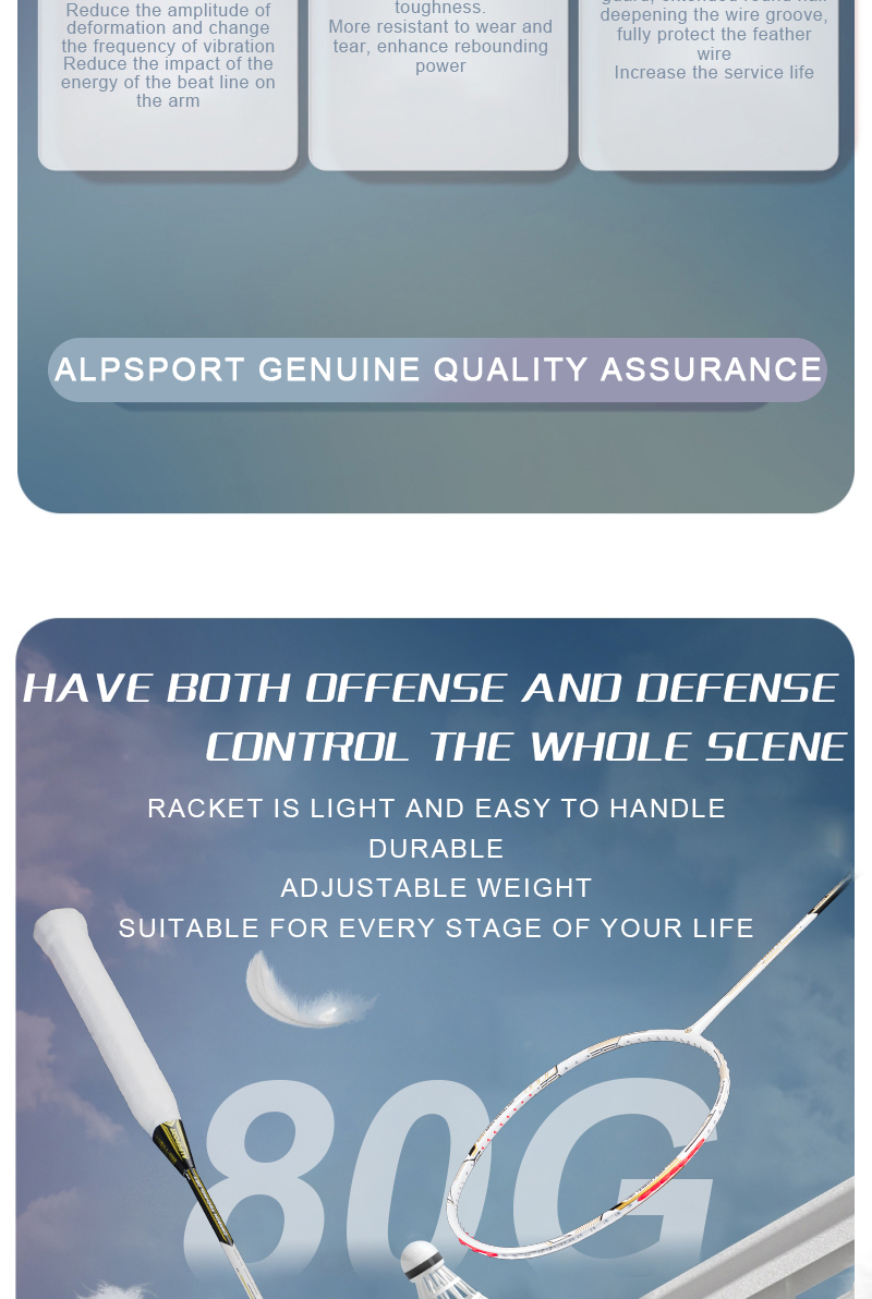Alpsport Armor 4u 80g Offensive Type Max 32 Lbs Original Design Full ...
