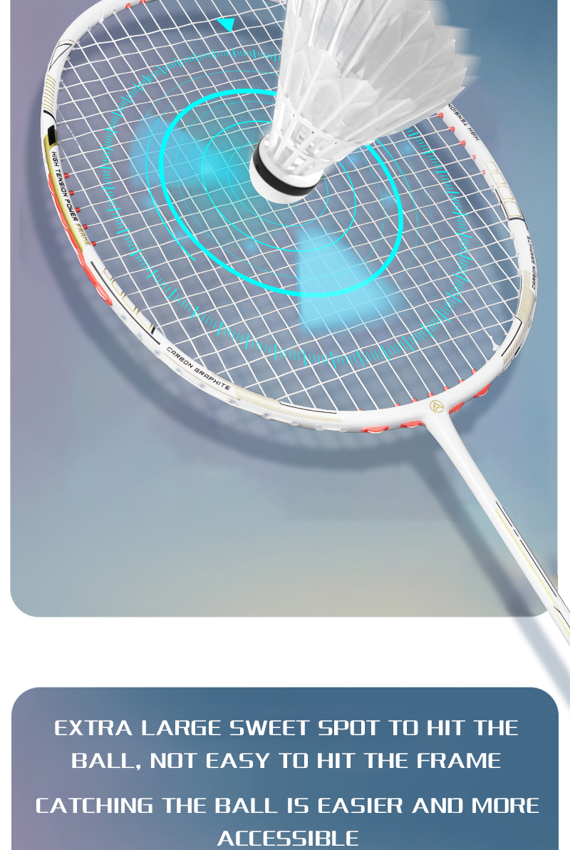 Alpsport Armor 4u 80g Offensive Type Max 32 Lbs Original Design Full ...