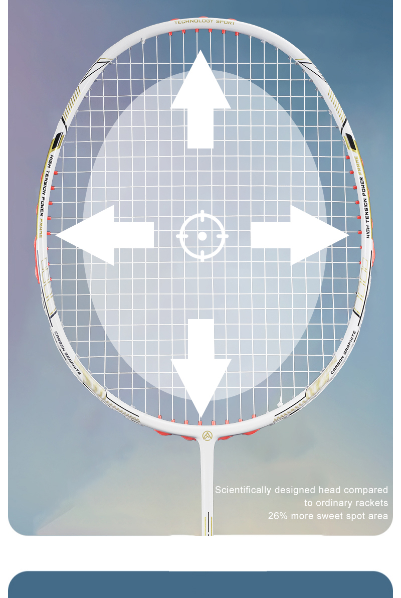 Alpsport Armor 4u 80g Offensive Type Max 32 Lbs Original Design Full ...