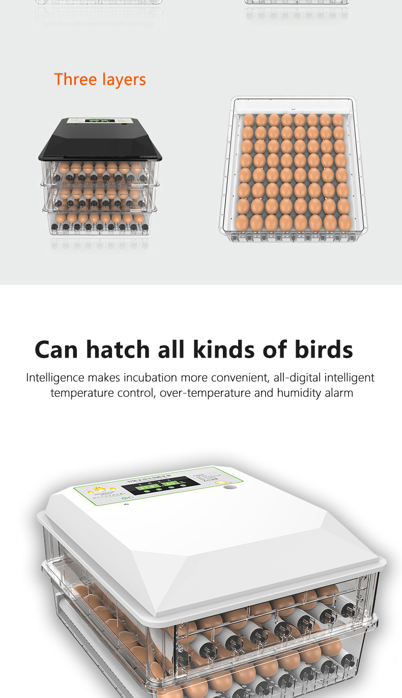Egg Incubator Automatic Egg Incubator Digital Automatic Poultry Hatcher ...