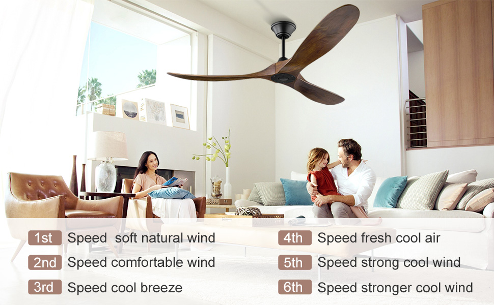 CHNT Ceiling Fan With Light Remote 6 Speeds Smart Timing DC Motor for ...