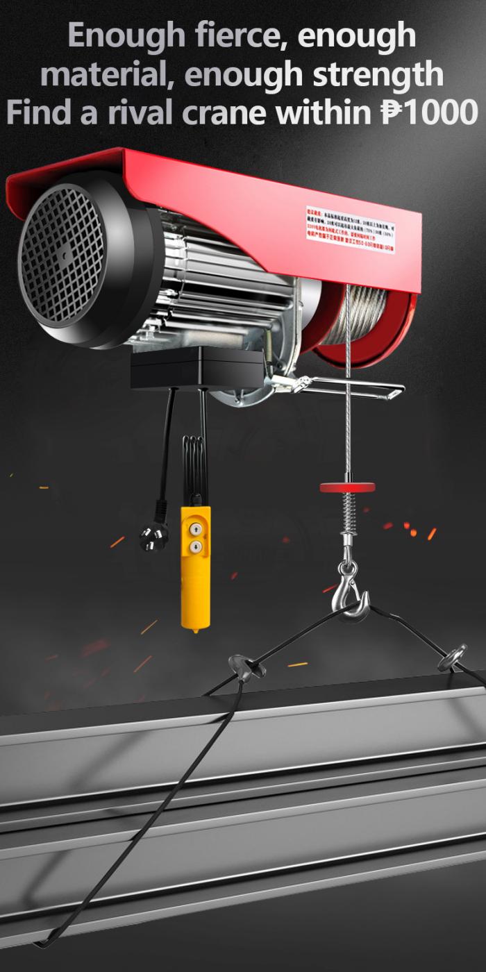 Heavy Duty Electric Hoist Winch Lifting Engine Crane Cei2400W 300/800 ...
