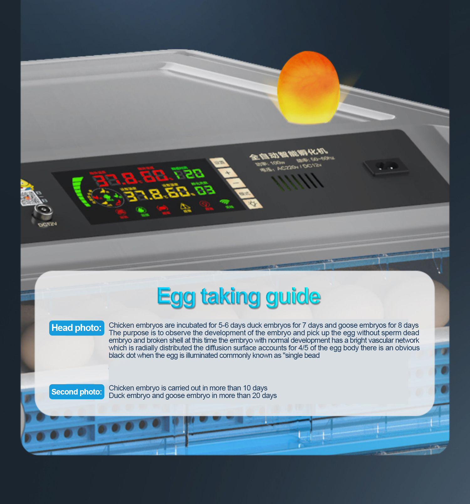 Egg incubator fully automatic 300 All-in-one hatching and brooding machine Automatic temperature ...