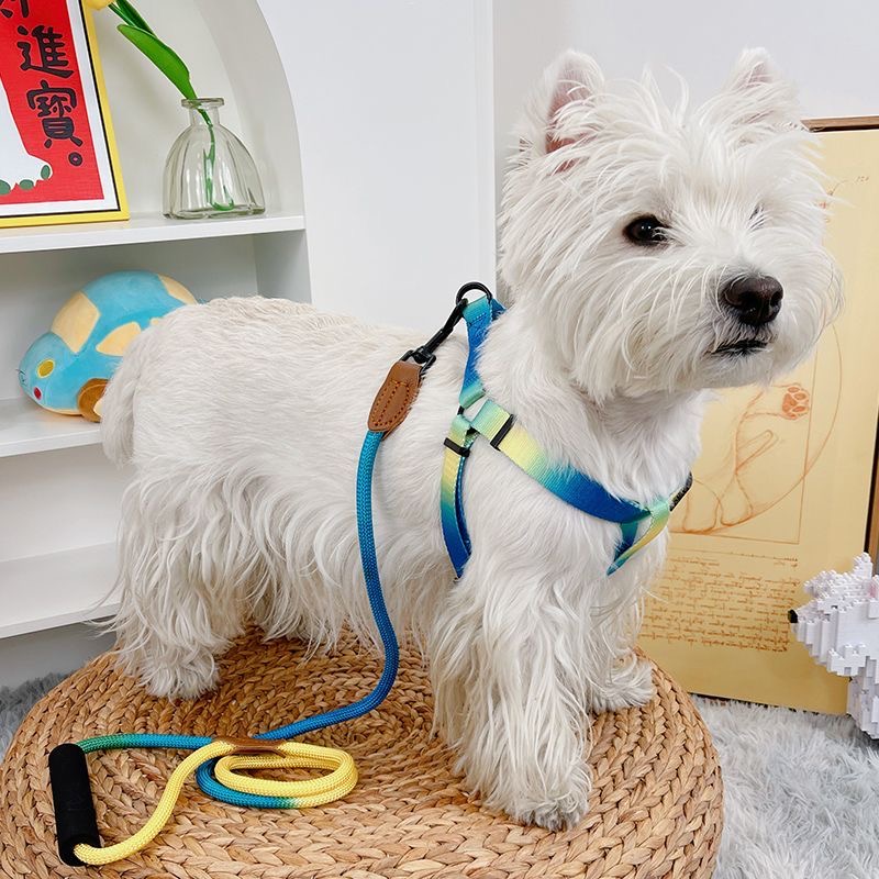Pet harness with leash Adjustable large medium and small dog universal ...