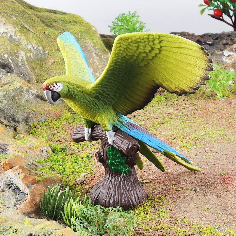 Flying Bird Scarlet Macaw Parrot Simulation Model Children Cognitive ...