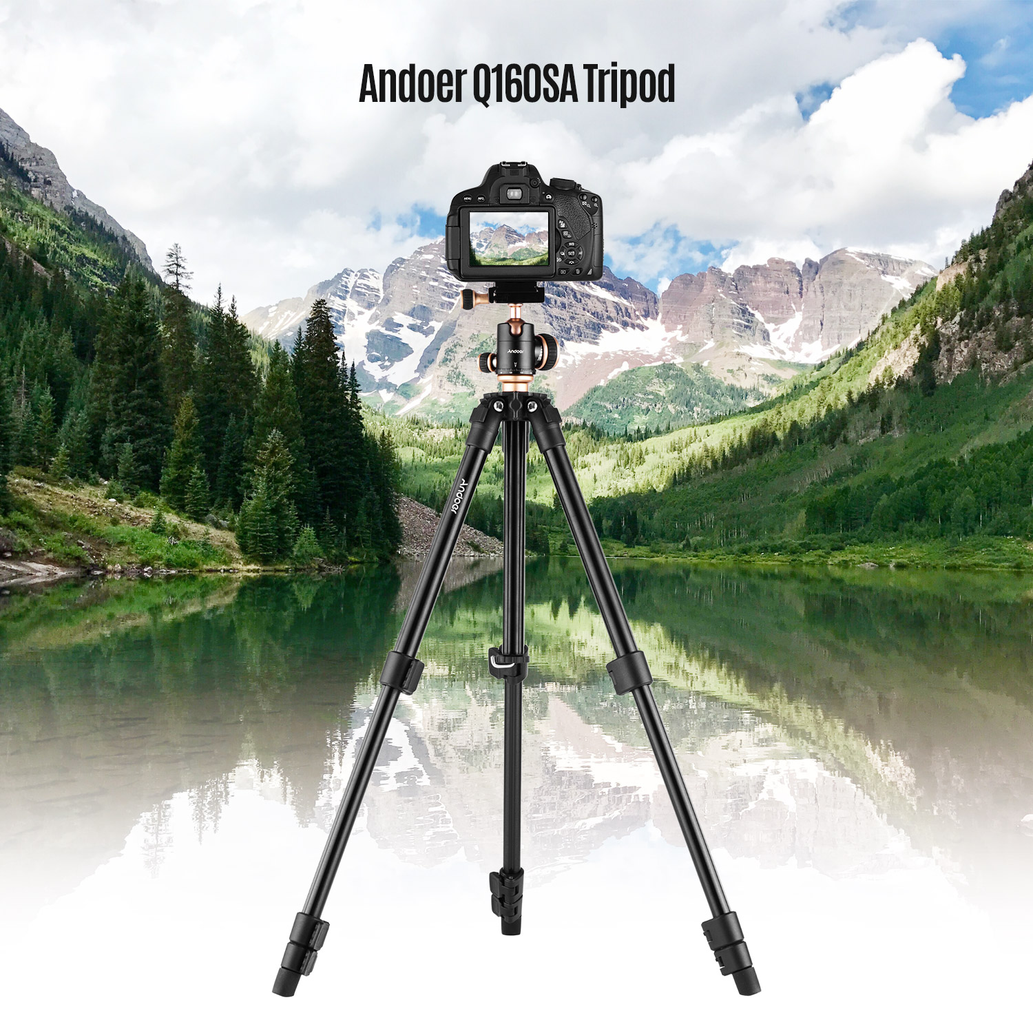 [In Stock] Andoer Q160SA Camera Tripod with Panoramic Ballhead Bubble ...