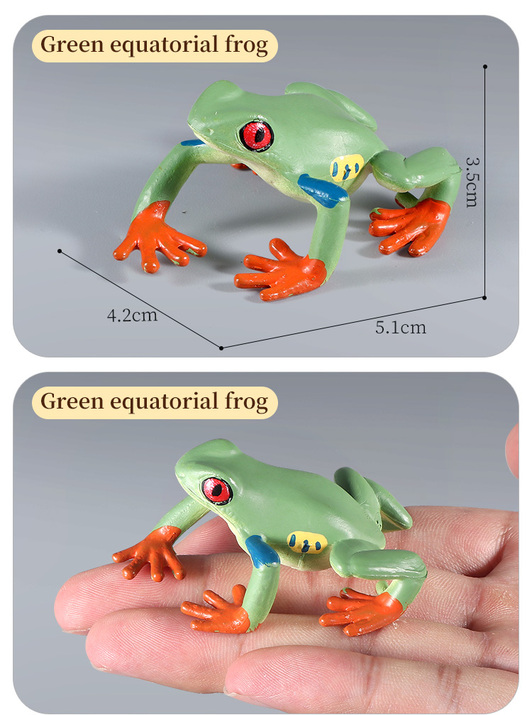 Wild Animals Bullfrog Model Solid Simulation Tadpole Hatch Frog Growth ...