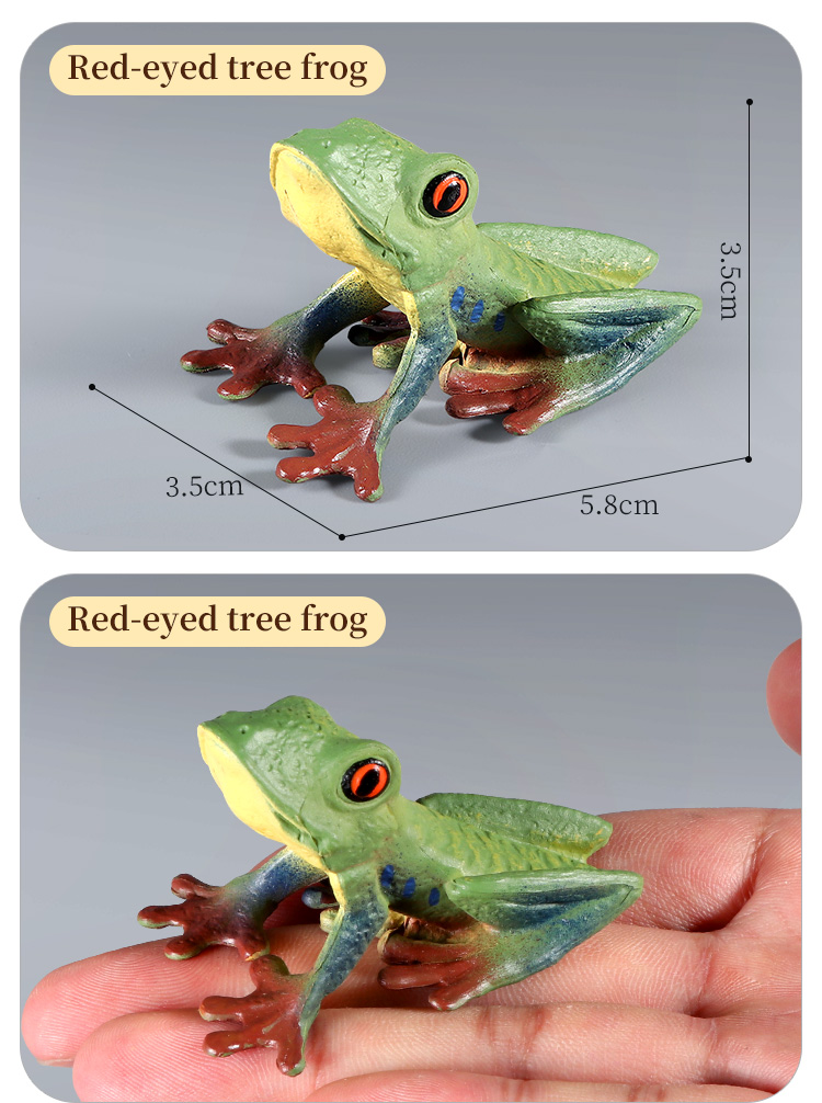 Wild Animals Bullfrog Model Solid Simulation Tadpole Hatch Frog Growth ...