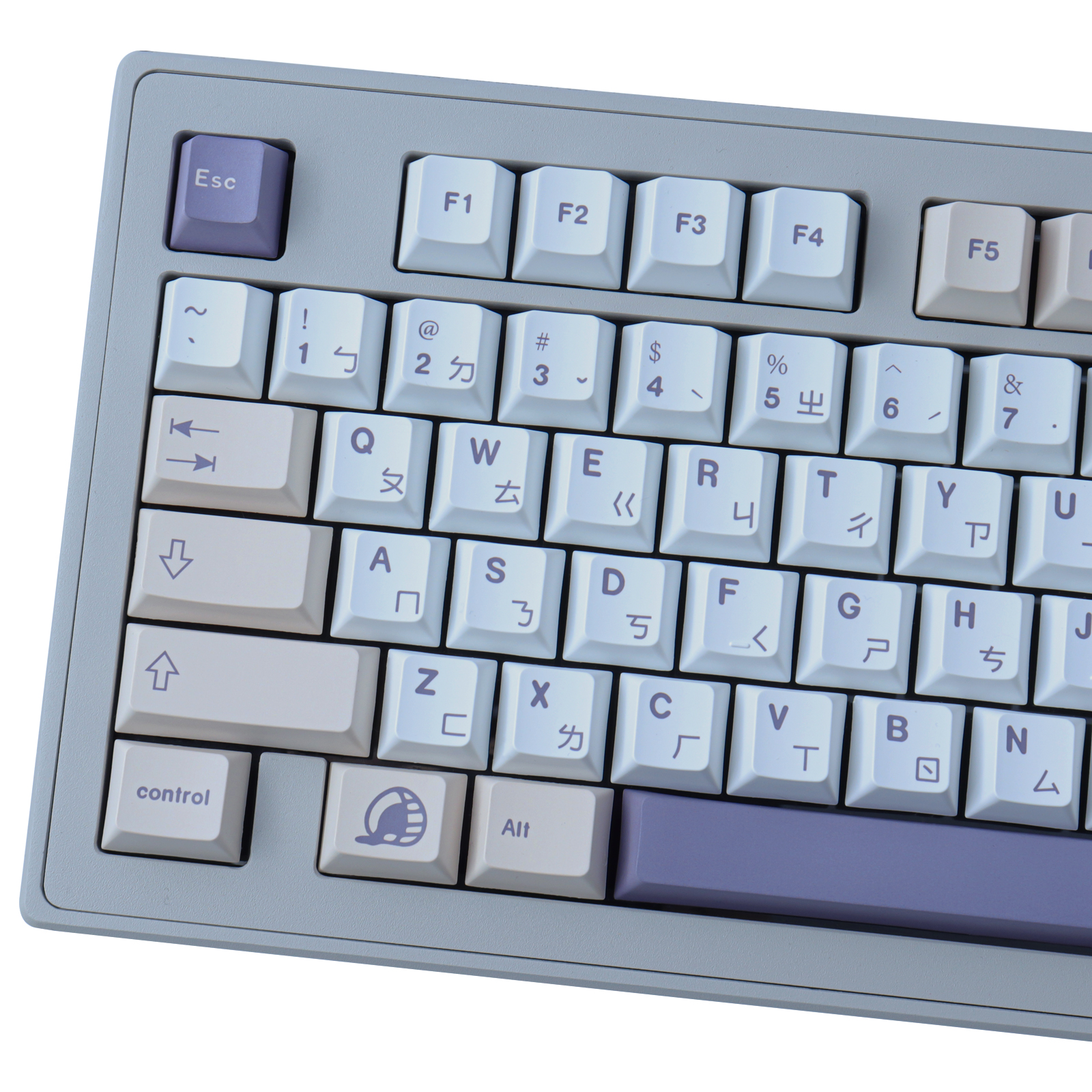 GMK Taro Crisp Keycaps, 142 Keys PBT Keycaps Cherry Profile DYE-SUB ...