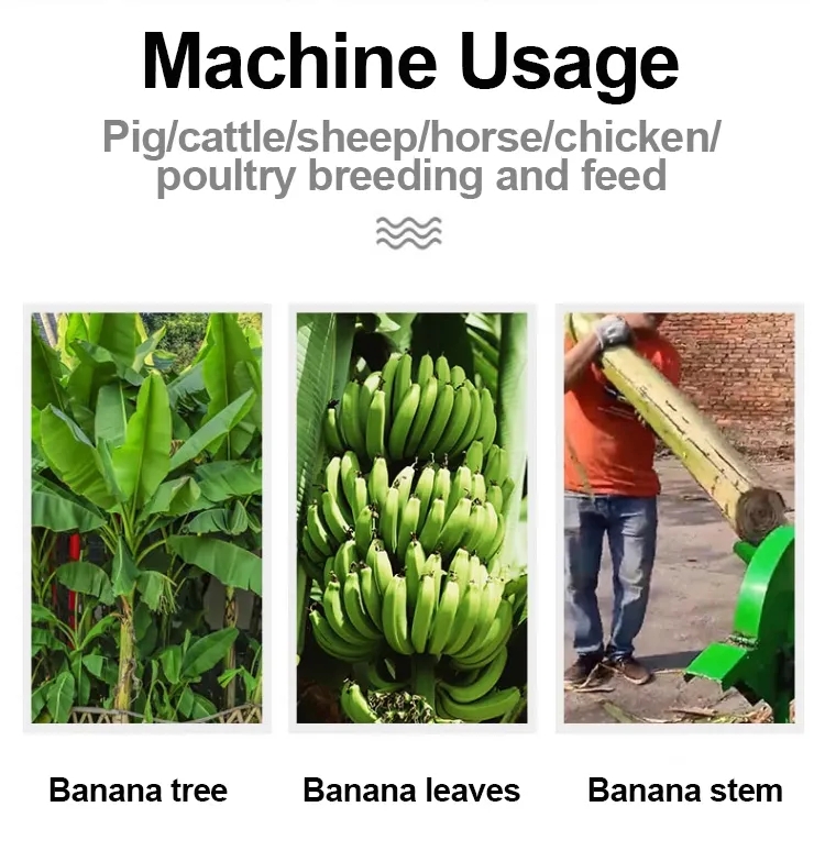 Banana tree cutter machine | banana shredder machine | banana chips ...