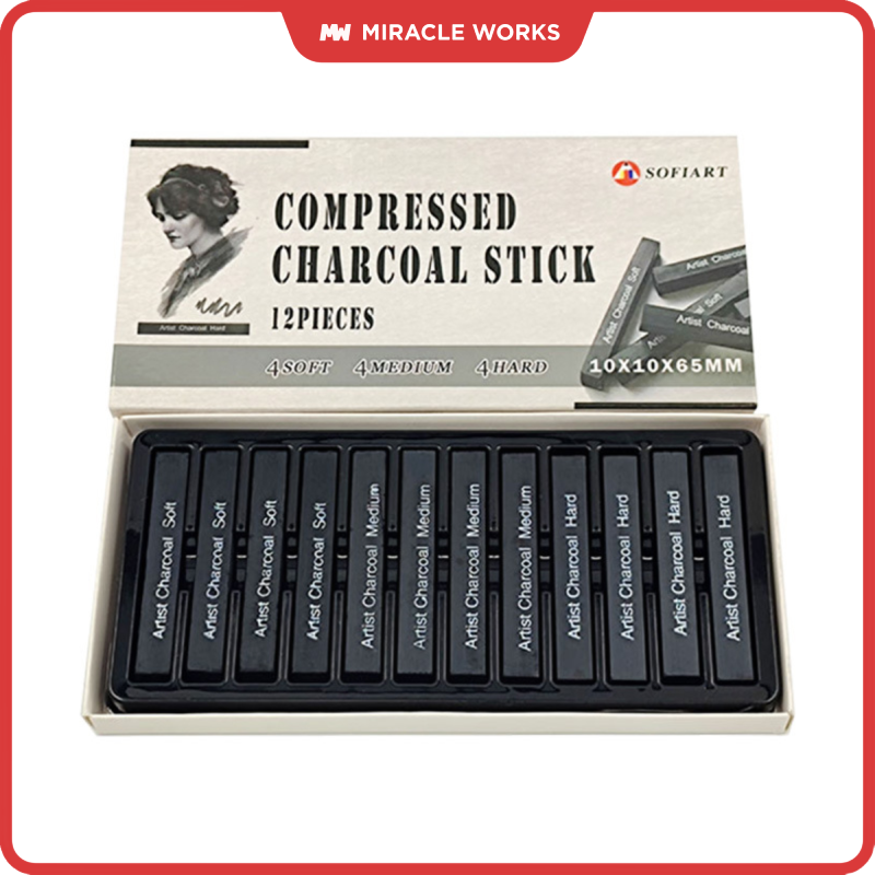 12 pcs Compressed Charcoal Sticks Set for Sketch Drawing Carbon ...