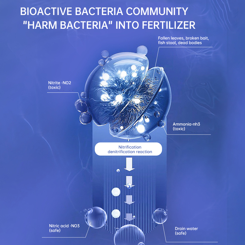 YEE Aquarium Nitrifying Bacteria, biological Bio-active Nitrifying ...