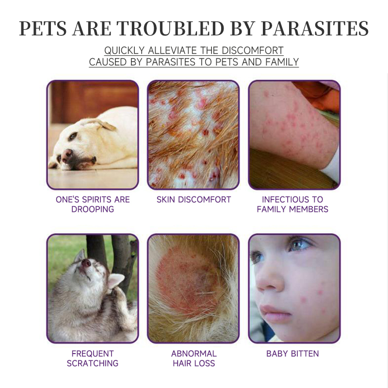 Dog Spray For Skin Disease Anti Fungal For Dogs Cat Dog Medicine For ...