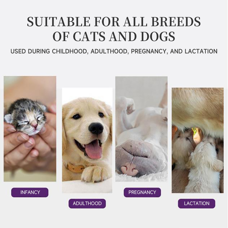 Dog Spray For Skin Disease Anti Fungal For Dogs Cat Dog Medicine For ...