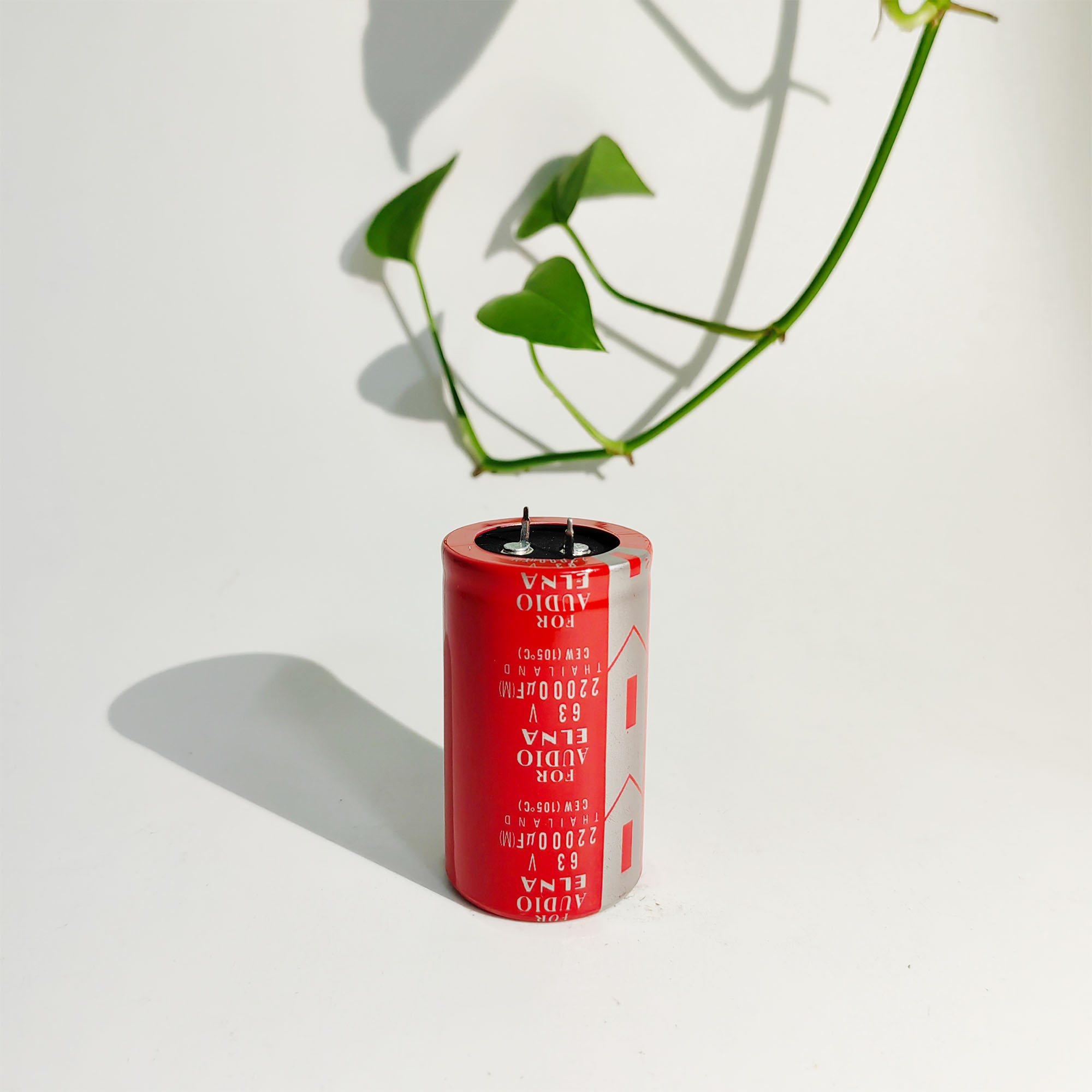 Red ENLA Electrolytic Capacitor 1,0000UF 15,000uf 22000UF 50v 63V 80V ...