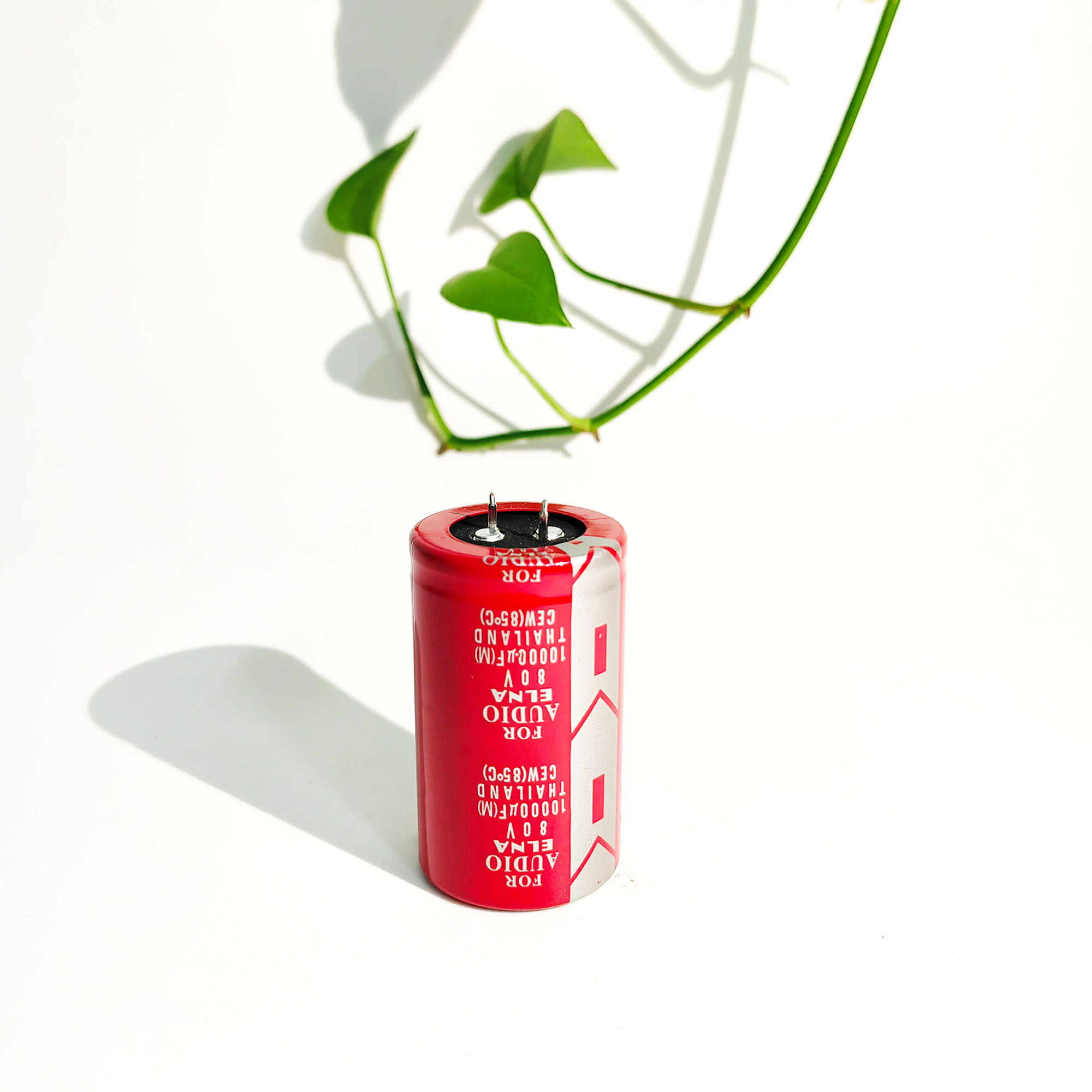 Red ENLA Electrolytic Capacitor 1,0000UF 15,000uf 22000UF 50v 63V 80V ...