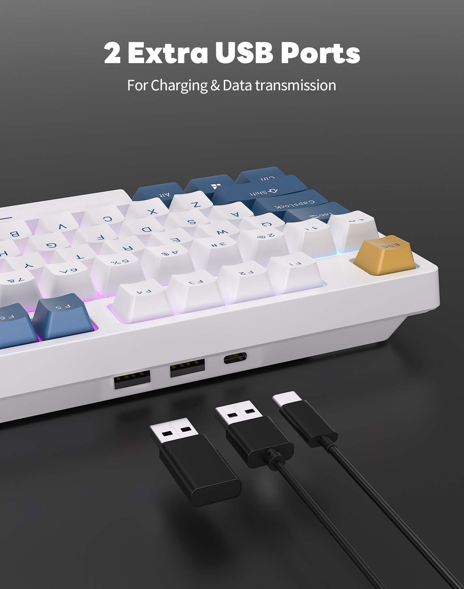 Royal Kludge RK89 Tri Mode RGB 89 Keys Hot Swappable Mechanical ...