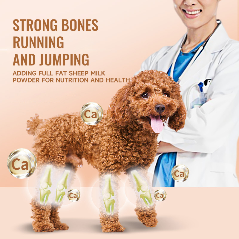 Borammy Vitamins For Dogs Pet Supplement Multivitamin Probiotics ...
