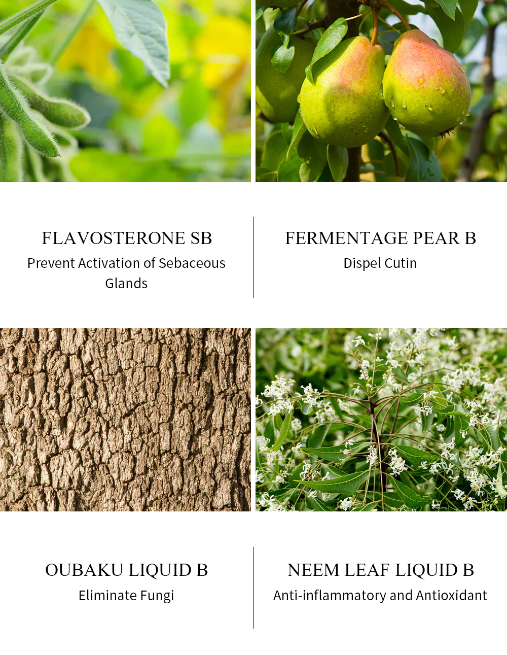 BREYLEE Acne Scar Repair Ceam Acne Treatment Gel Scar Fading Scar Acne ...