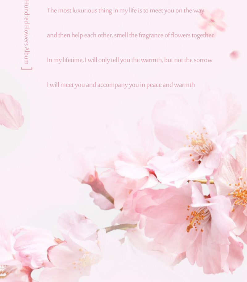 ALPSPORT New Cherry 100% Full Carbon Fiber Original Design Goddess ...