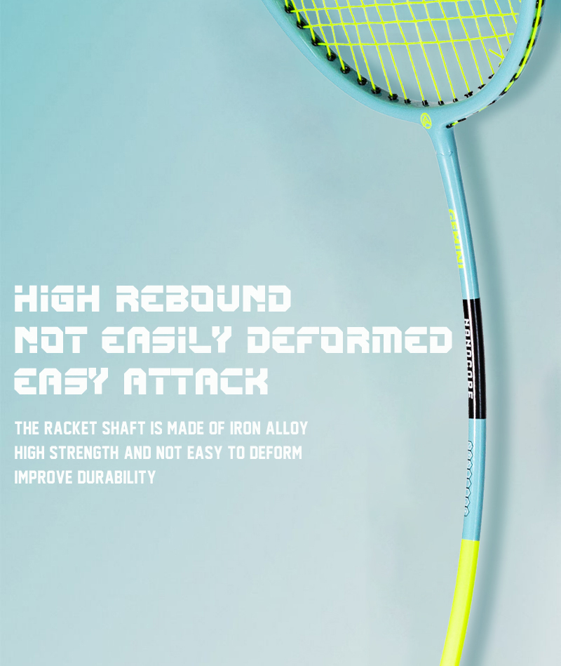 ALPSPORT 2Pcs 4U G5 100% Carbon Fiber Badminton Racket Original Design ...