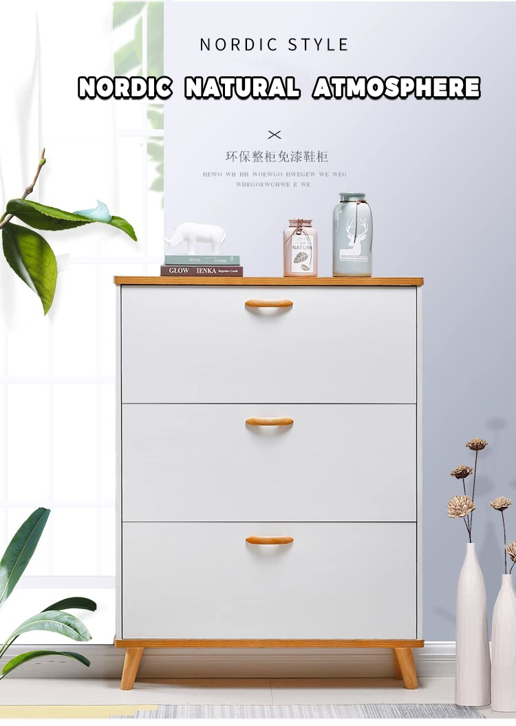 50/80/100Nordic style shoe cabinet, shoe rack for storing shoes Shoe ...