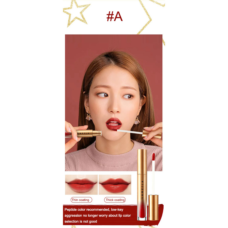LAMEILA Lip Glaze Long Lasting Liptint Waterproof Velvet Lip Tint Gloss ...