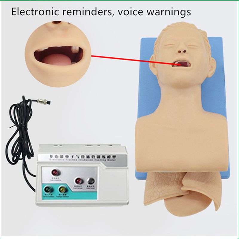 CPR AED First Aid Training Dummy Manikin Cardiopulmonary Resuscitation ...