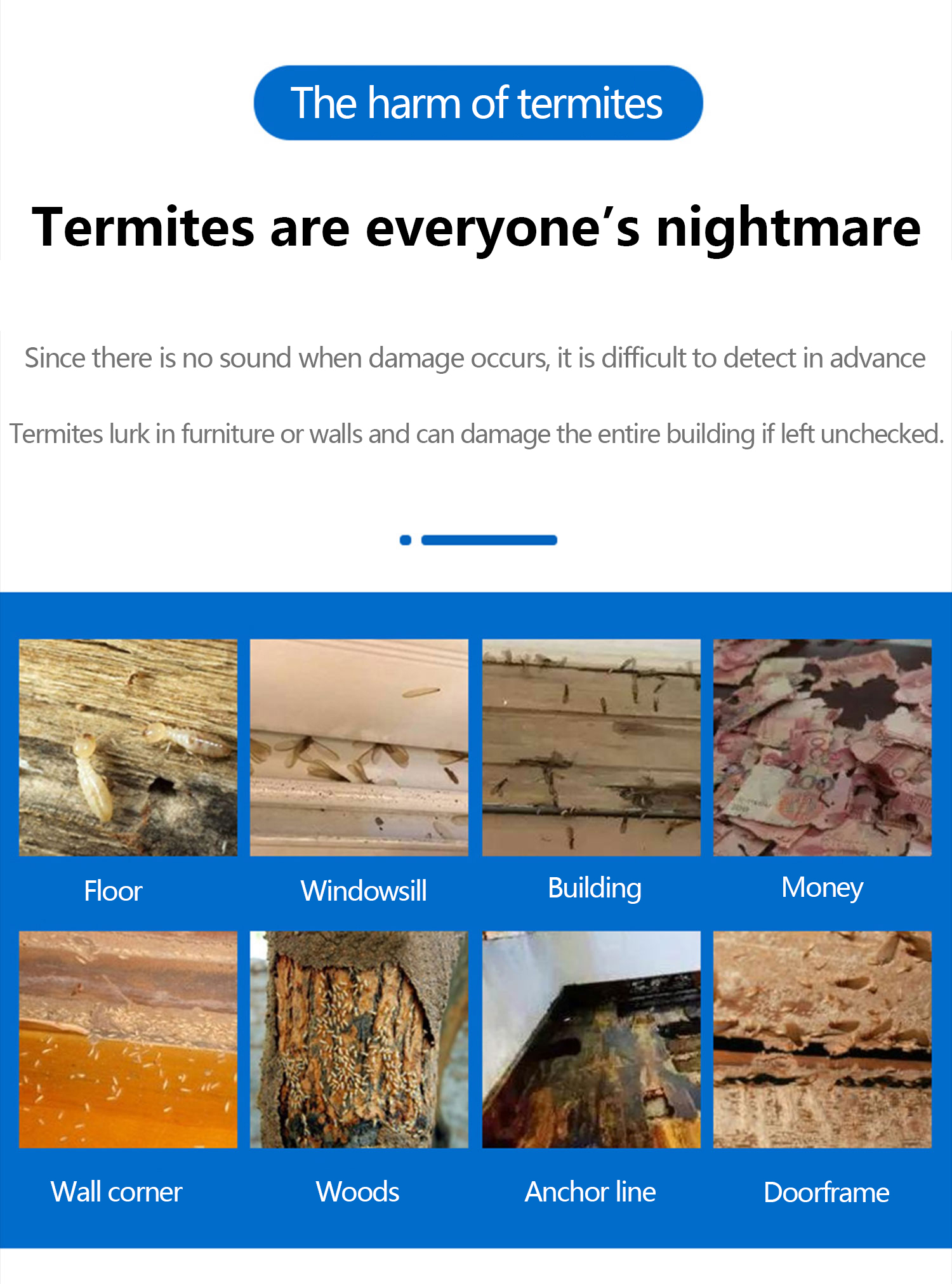 99.99% Effective NB Termite killer spray 500ml Termite extermination ...