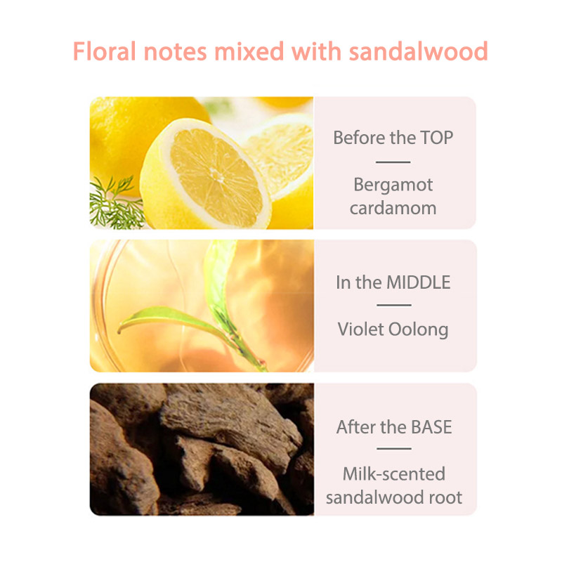 HANBOLI Solid Perfume Balm Men and Women Solid Body Balm Lasting ...