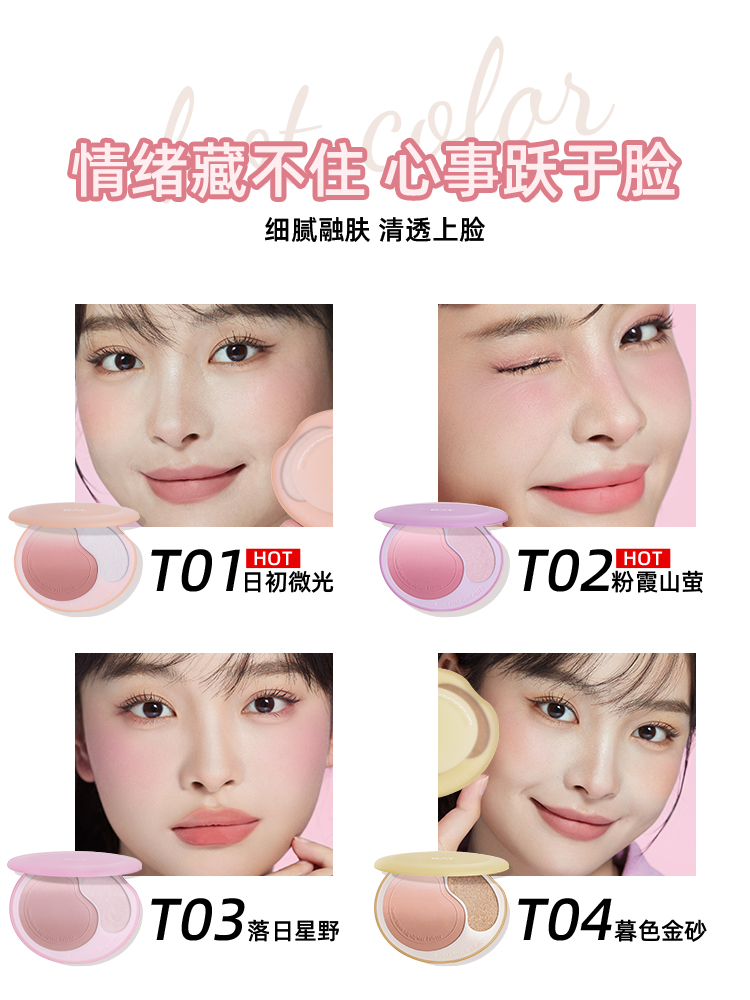 RMT Gradual Change powder blusher Multi purpose Disk for Women's Face ...