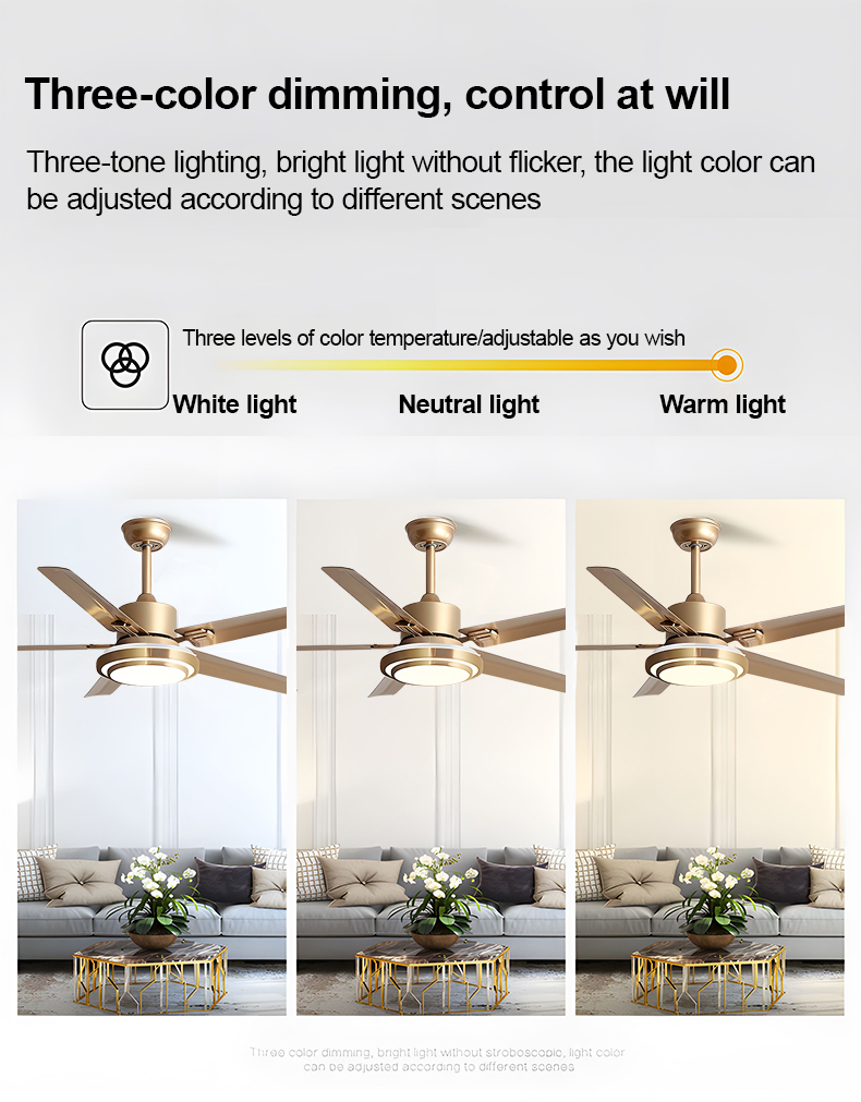 Ceiling Fan With Light and remot control Strong Wind Nordic Modern ...