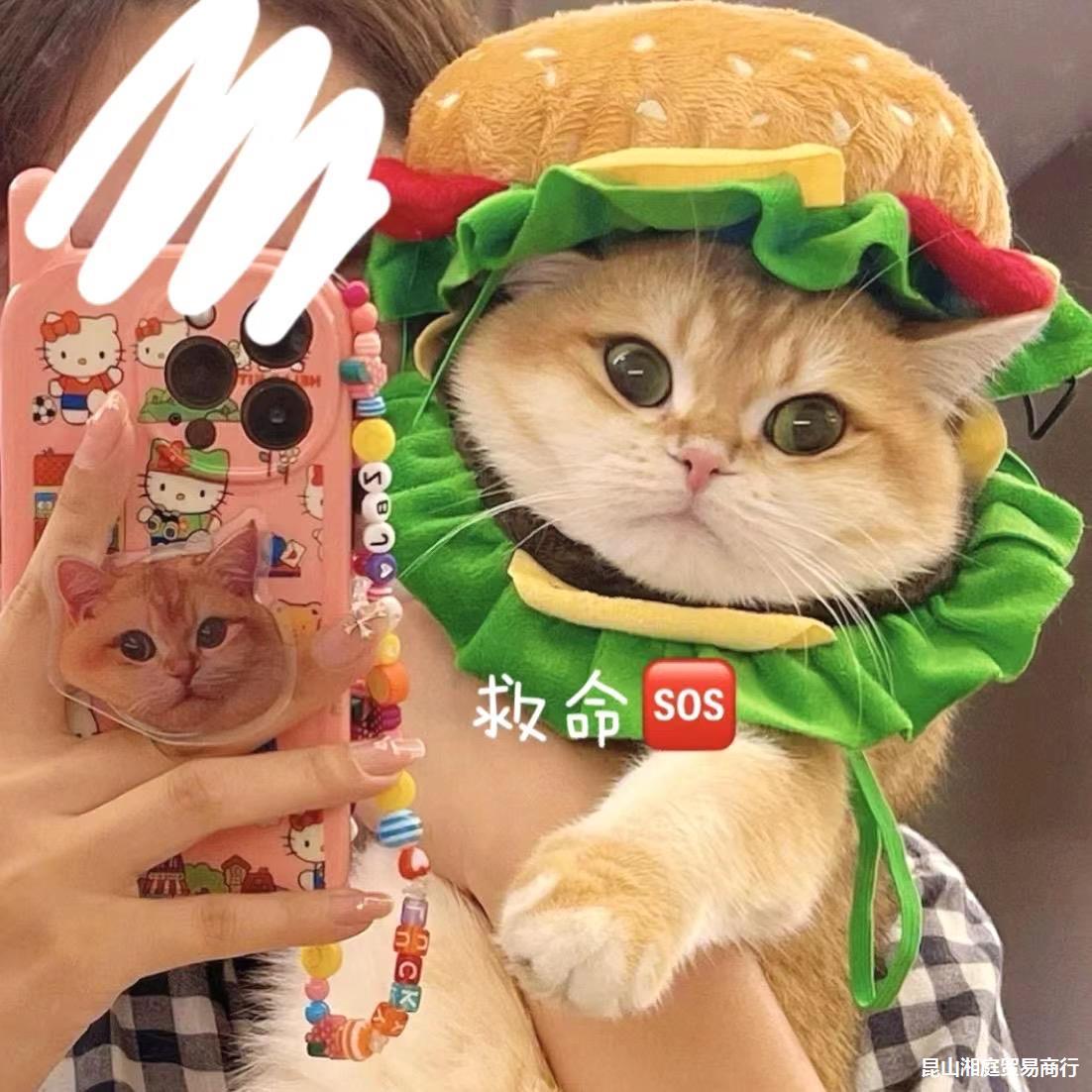 2024 Cat burger headband collar hat cartoon pet french fries bib funny ...