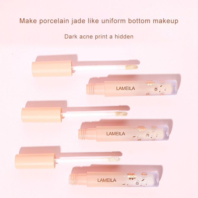 LAMEILA High Gloss Foundation Concealer Pen Liquid Foundation Oil ...