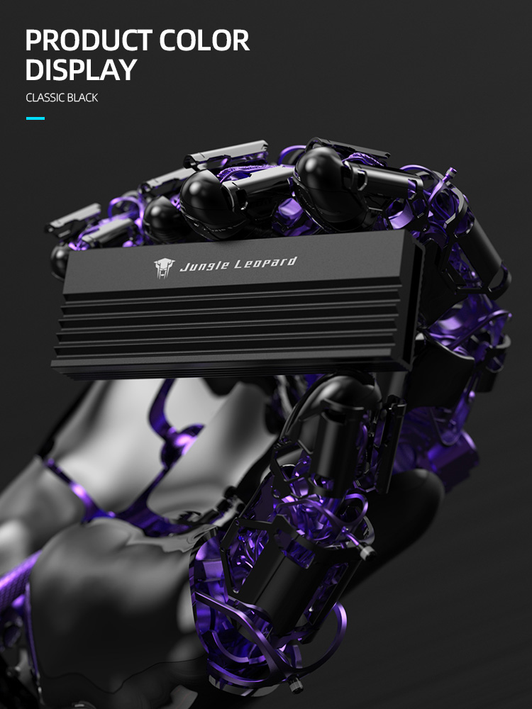 Jungle Leopard IHTP M.2 2280 Solid State Drive Radiator Thermal Vest ...