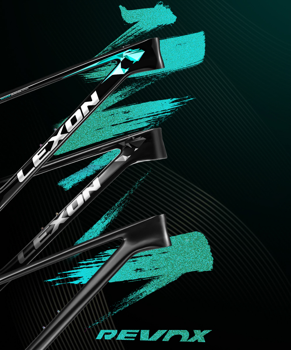 2024 Lexon 29 Carbon MTB Frame Mountain Bike Frames 142/148mm Carbon ...