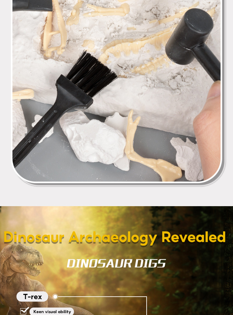 Dinosaur Fossil Archaeological Dig Toy Tyrannosaurus Rex Treasure Hunt ...