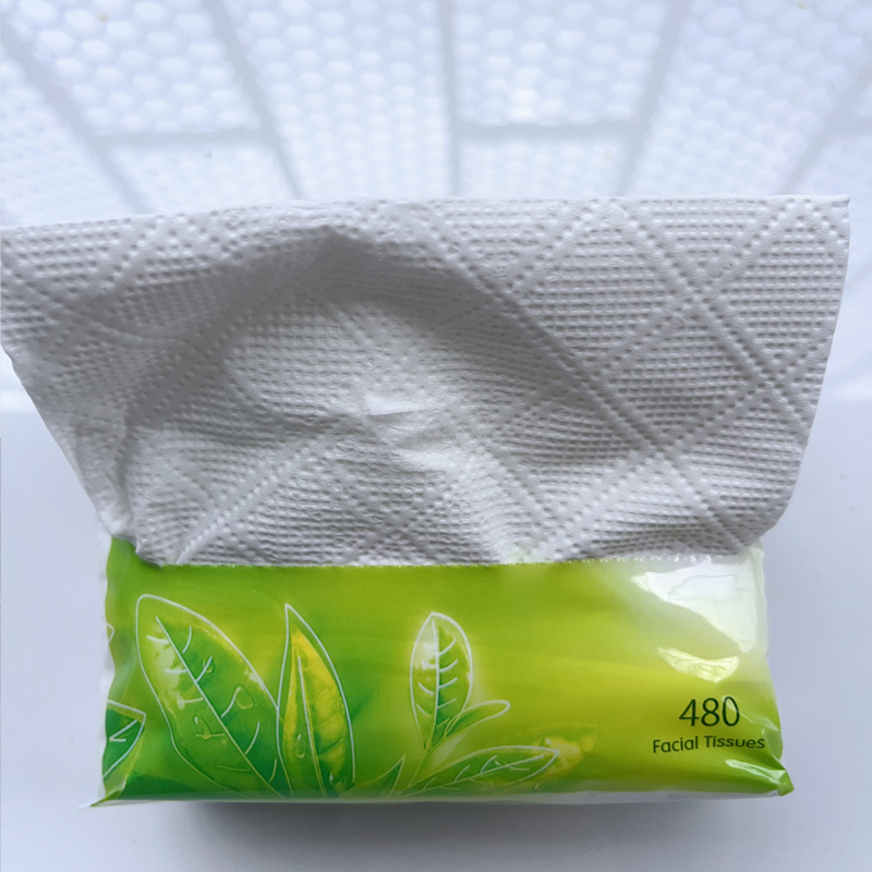 TREE CARE 10pack 480sheet Paper toilet 4-Ply Facial Tissue soft ...
