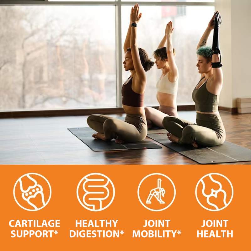 Collagen & Glucosamine Combo Nutritional Supplement Bone & Joint ...