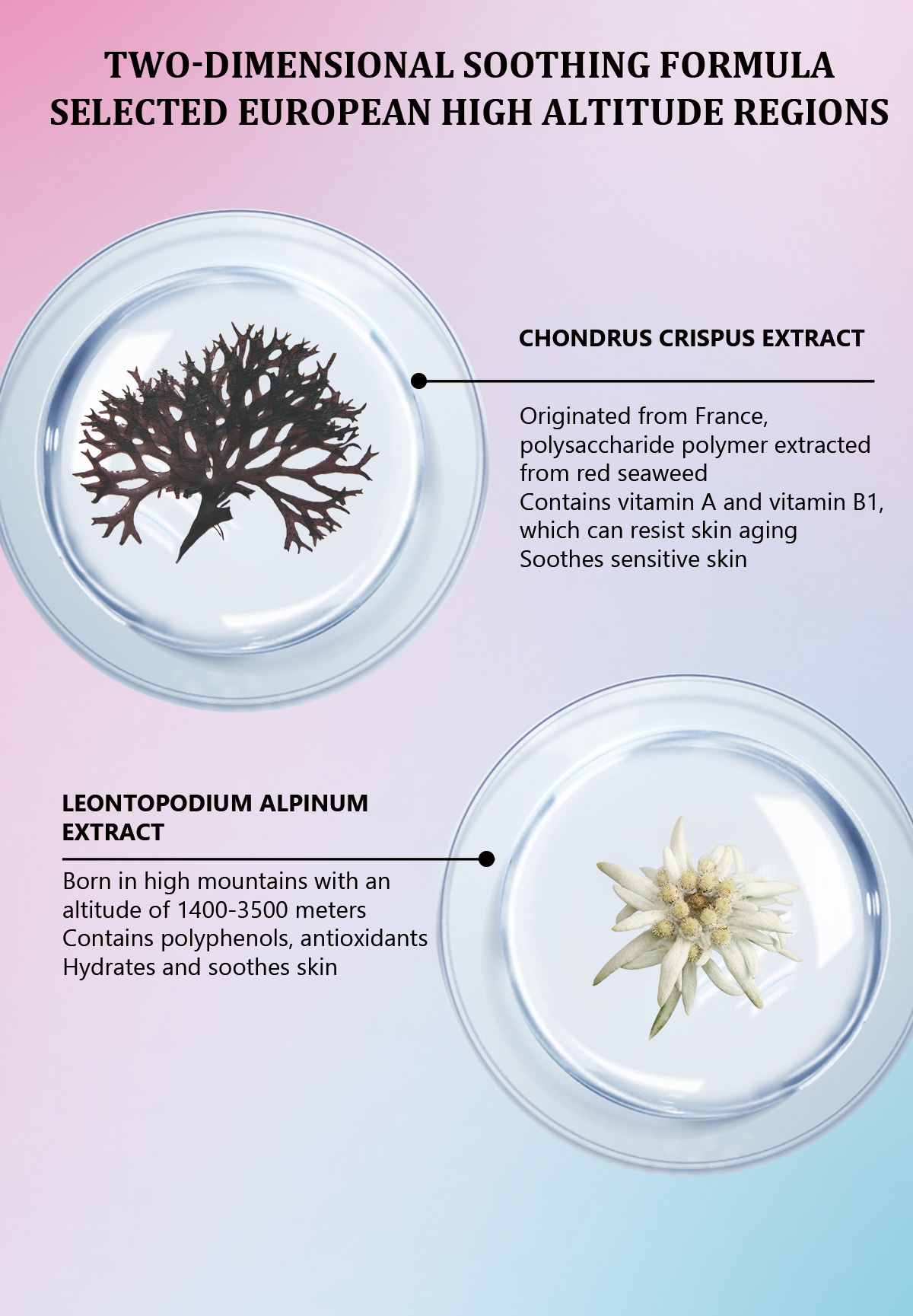 [NEW!] AISASEA Makeup Setting Spray Oil Control Long Lasting make up ...