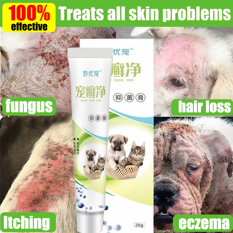 Dog Ointment For Skin Disease Dog Cat Anti Mange AntiFungal & Anti ...