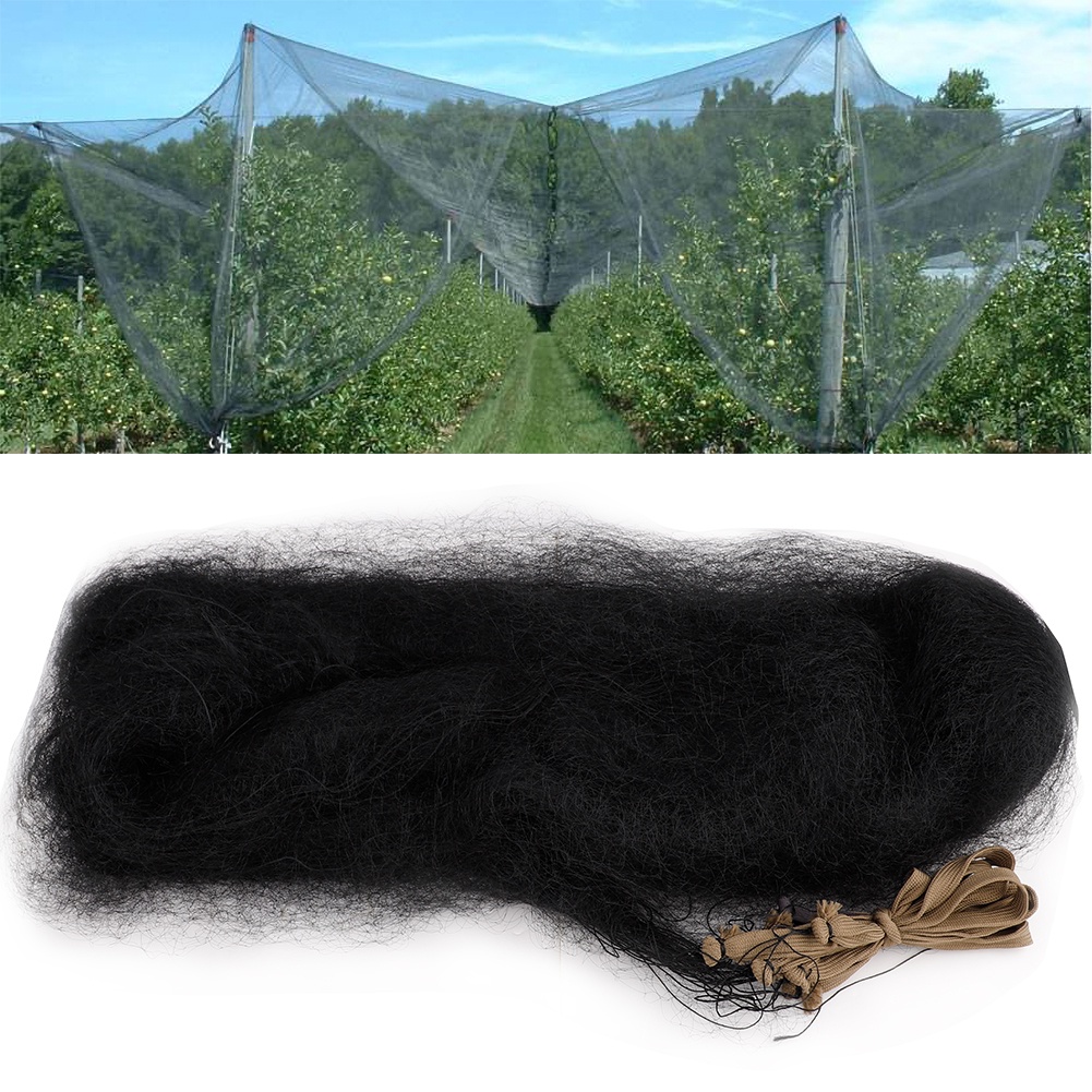 [In Stock] Bird Netting 20 Meters Long 36mm Mesh Size Orchard Garden ...