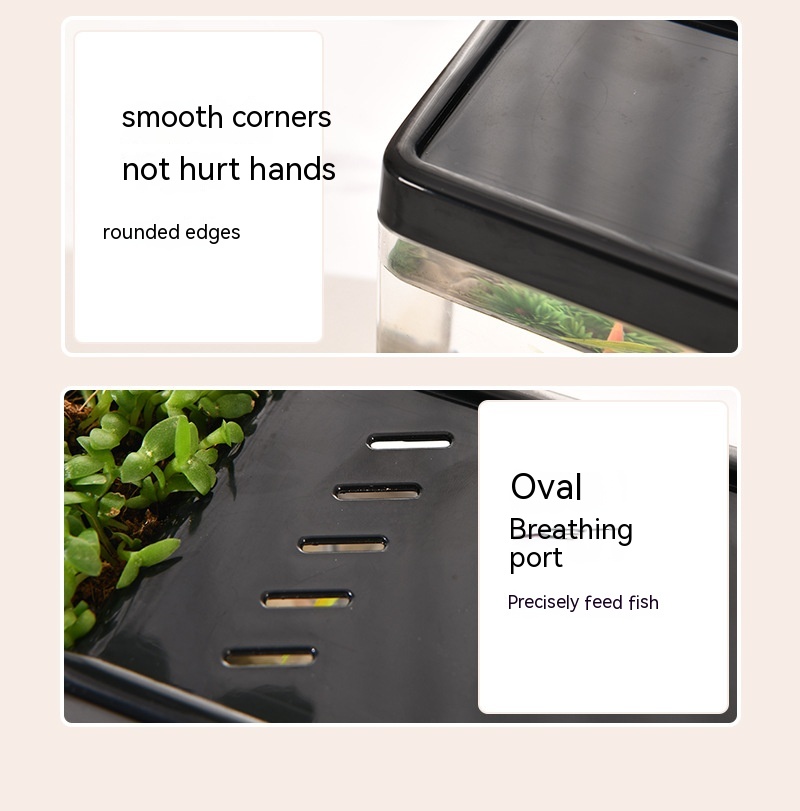 Ecological Fish Tank Micro Landscape Aquarium Landscaping Betta Fish ...