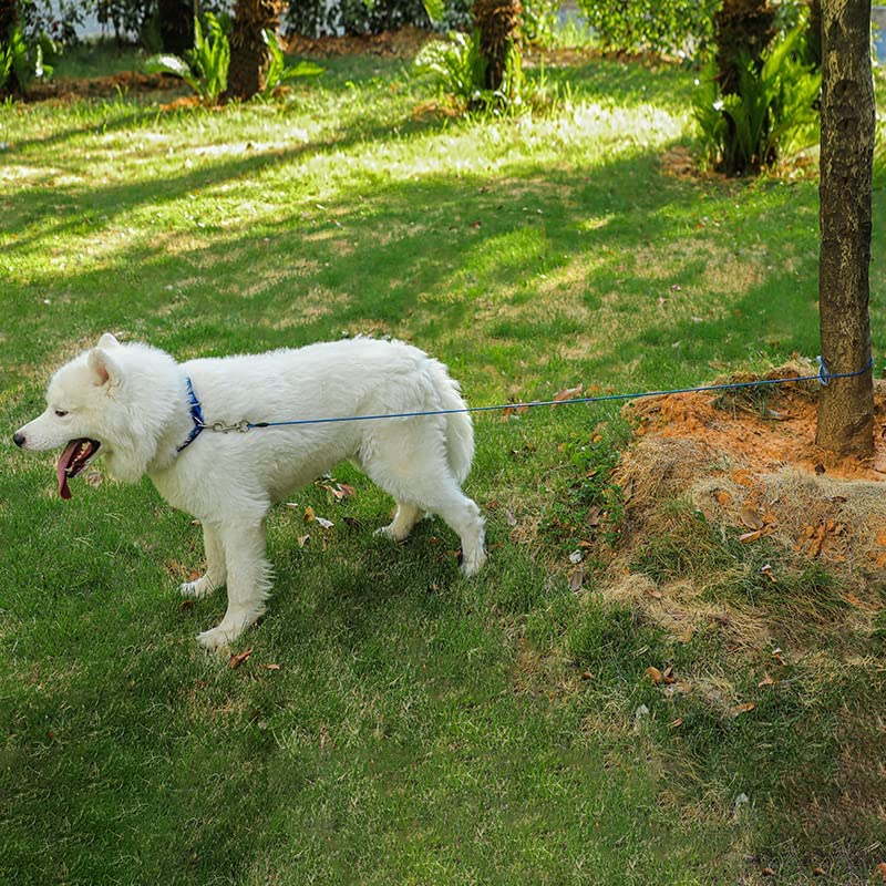 【COD】Big Dogs And Small Dogs Durable Anti Chew Dog Chain And Rust Proof ...