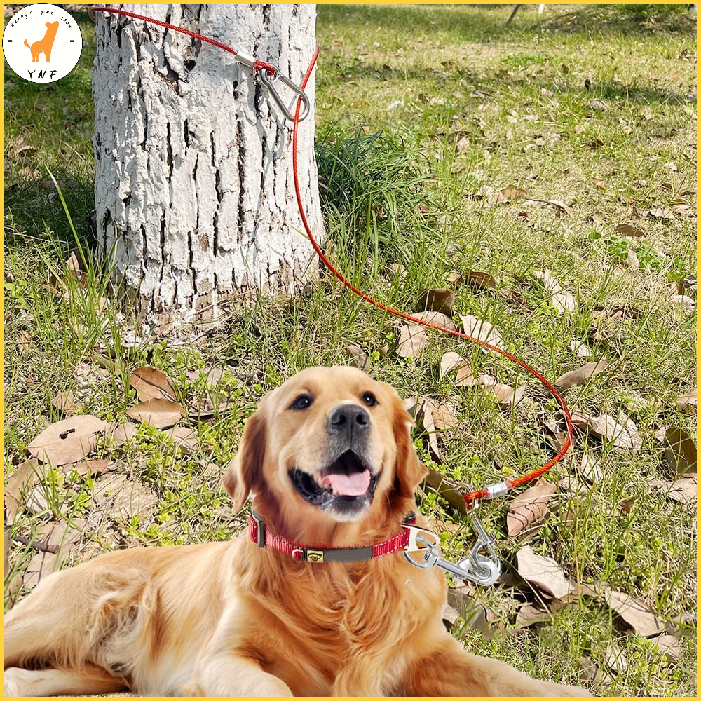 【COD】Big Dogs And Small Dogs Durable Anti Chew Dog Chain And Rust Proof ...